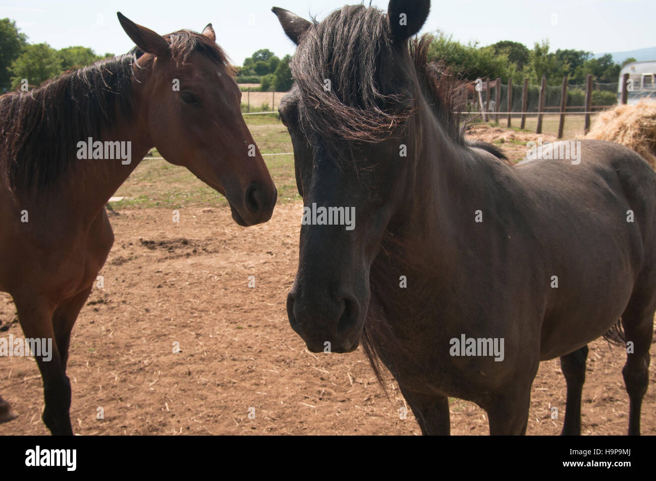 Rural ranch lands hi-res stock photography and images - Alamy