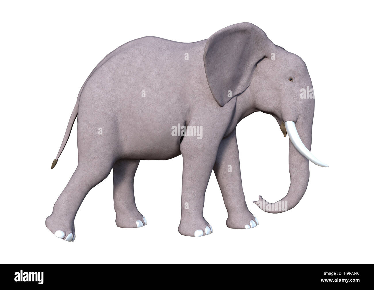 3D rendering of an elephant isolated on white background Stock Photo ...