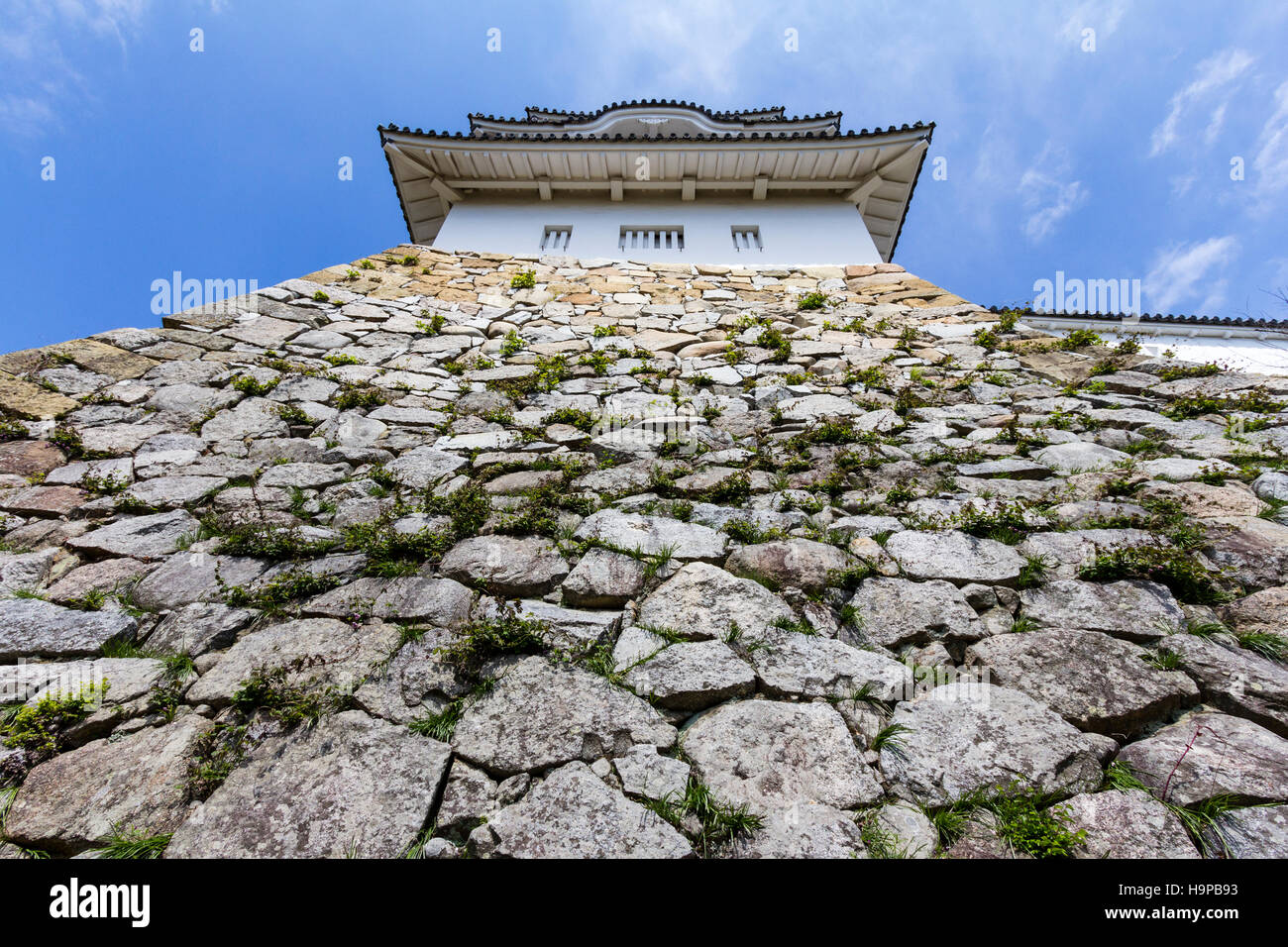 Low Viewpoint Photography
