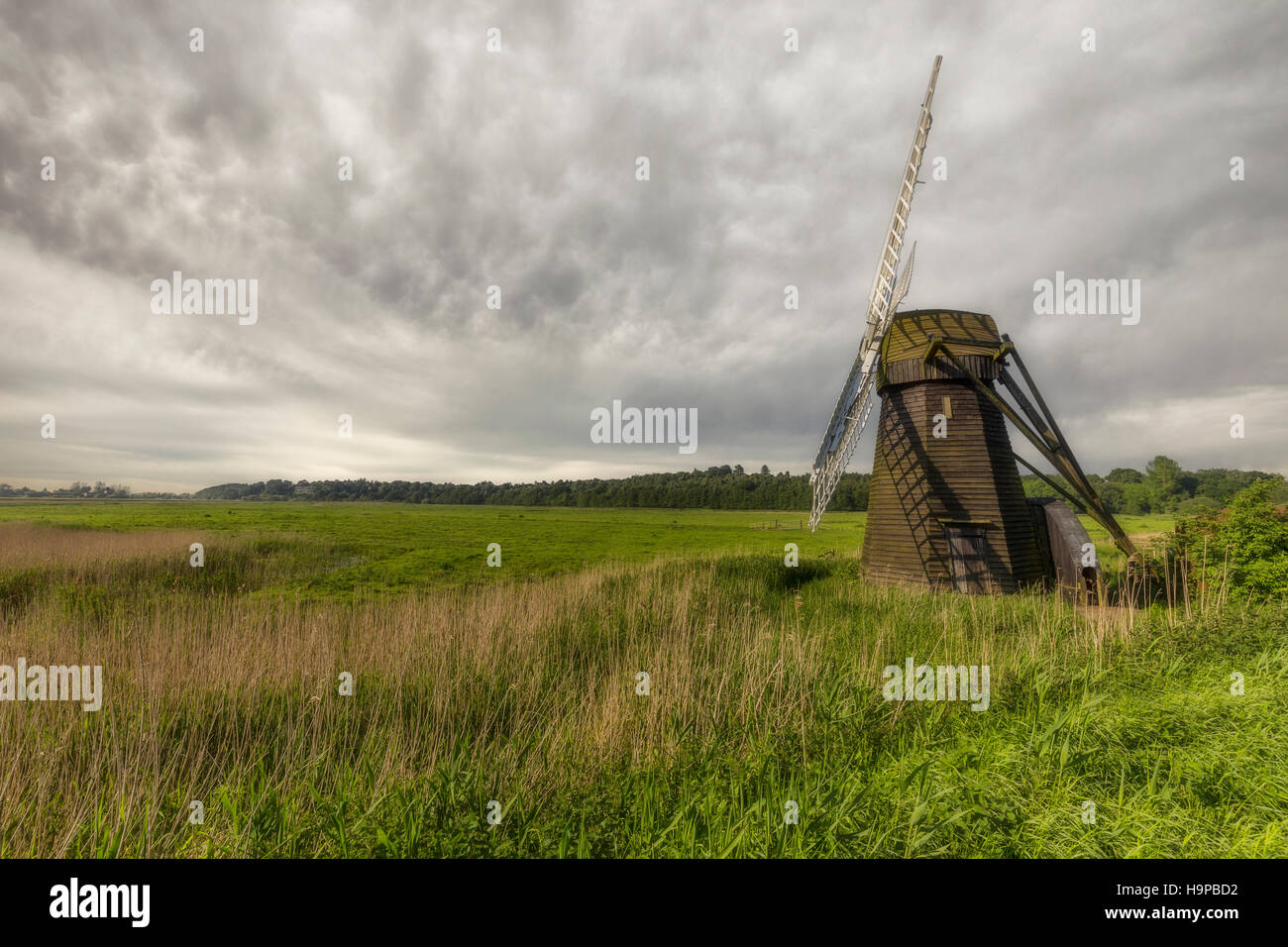 Windmill with meadow and trees hi-res stock photography and images - Alamy