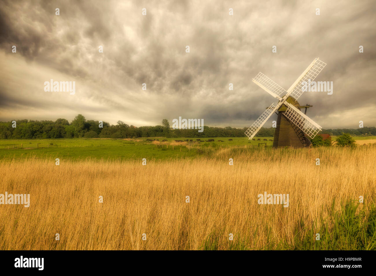 Herringfleet Windmill Landscape High Resolution Stock Photography and ...