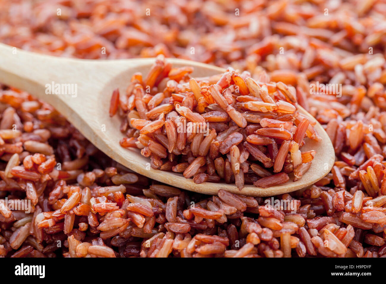 Steamed whole grain traditional thai rice best rice for healthy Stock ...
