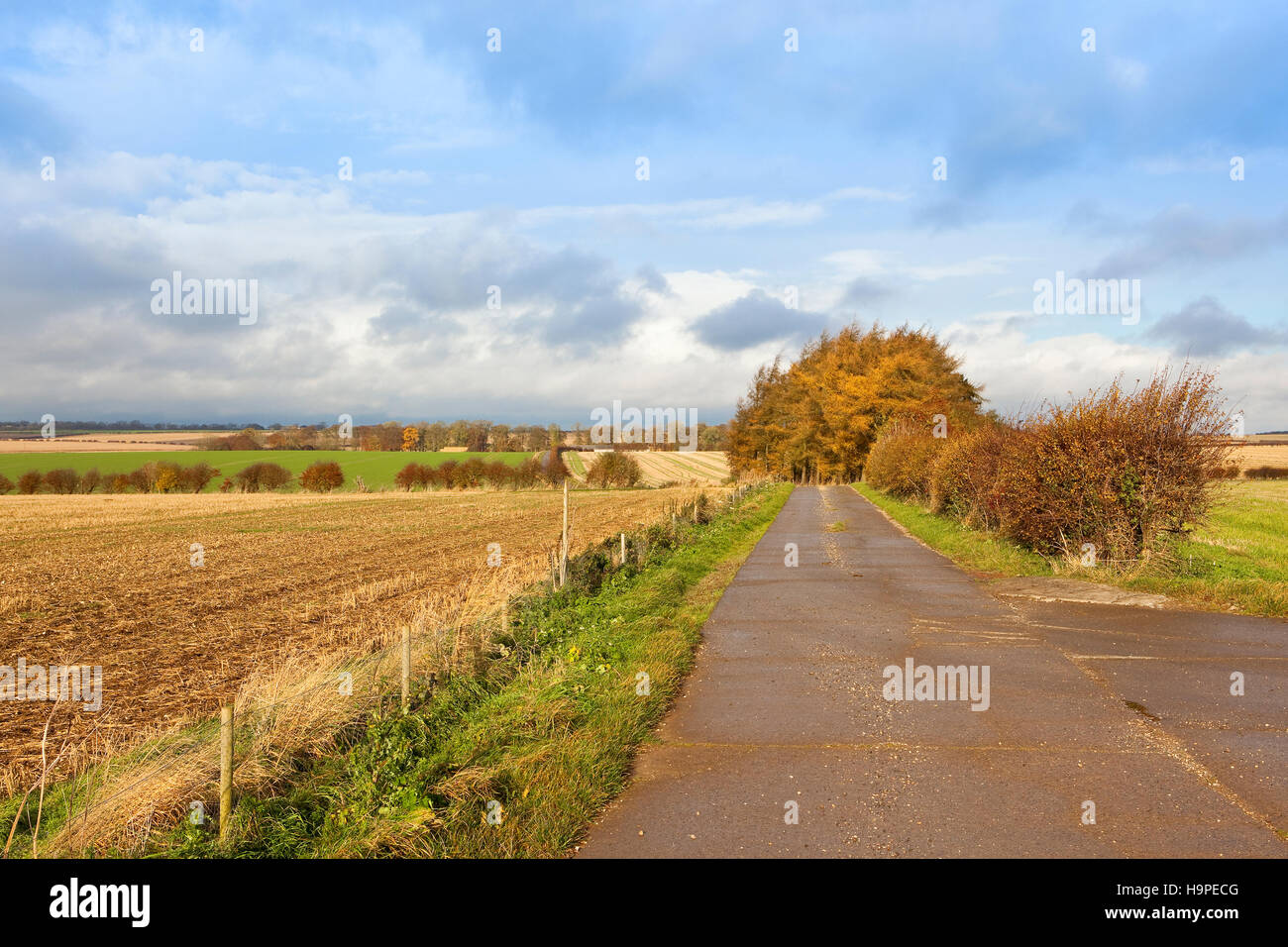 The autumn landscape of the Yorkshire wolds with colourful hedgerows ...