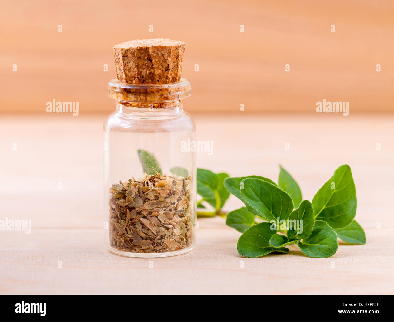 Fresh Oregano and dry Oregano in a the bottle on wooden background ...