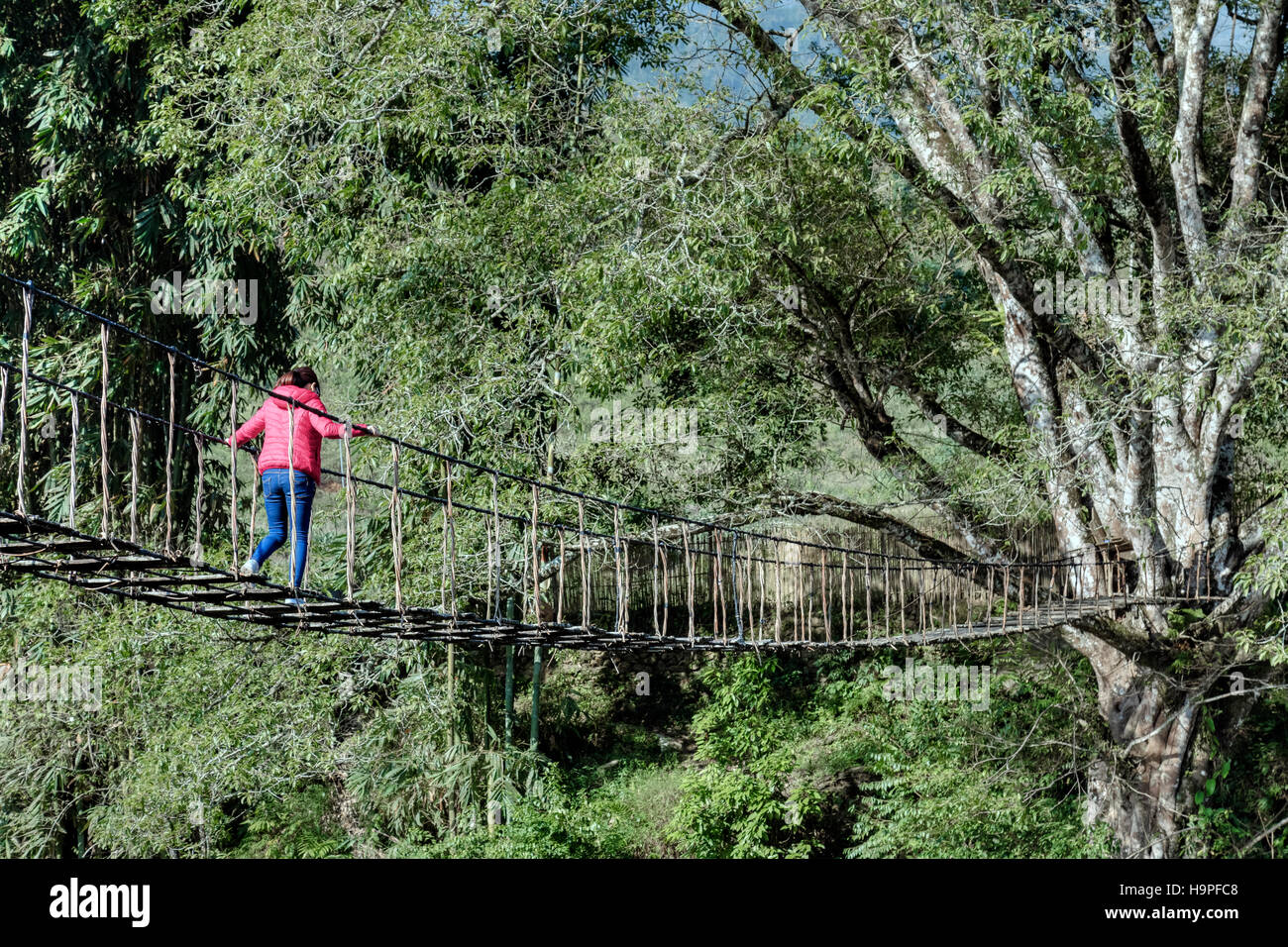 rope bridge, Lao Chai, Sapa, Vietnam, Asia Stock Photo - Alamy
