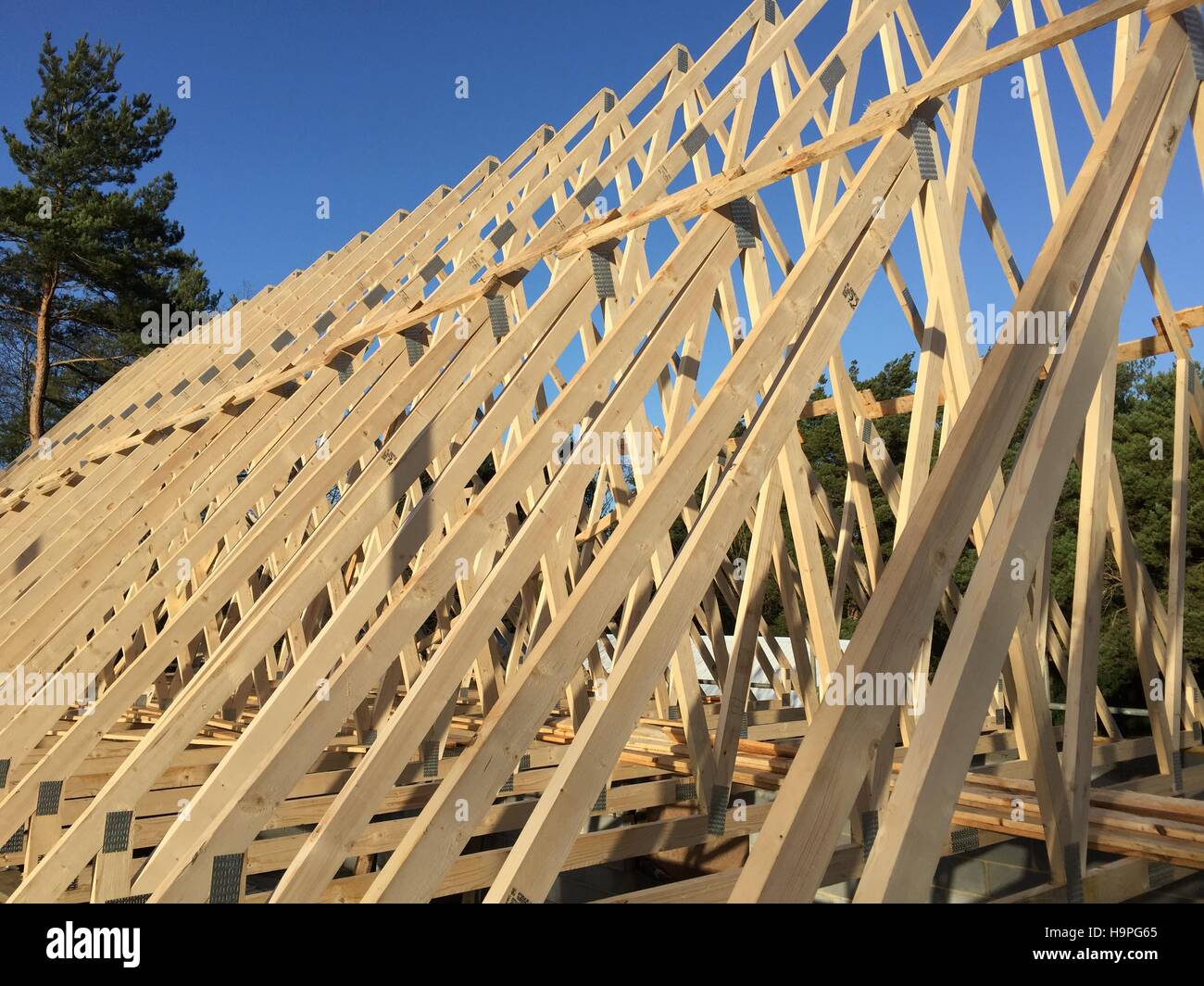 Low angle view of a new build roof under construction, installation and ...