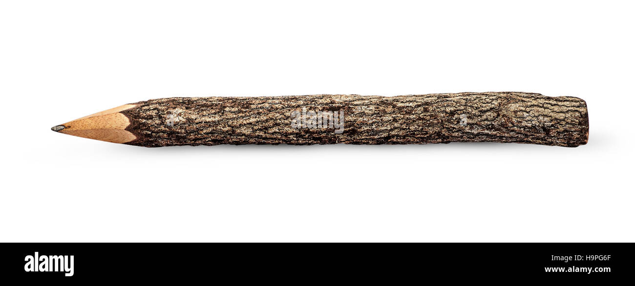 Unusual pencil in the form of logs horizontally isolated on white ...