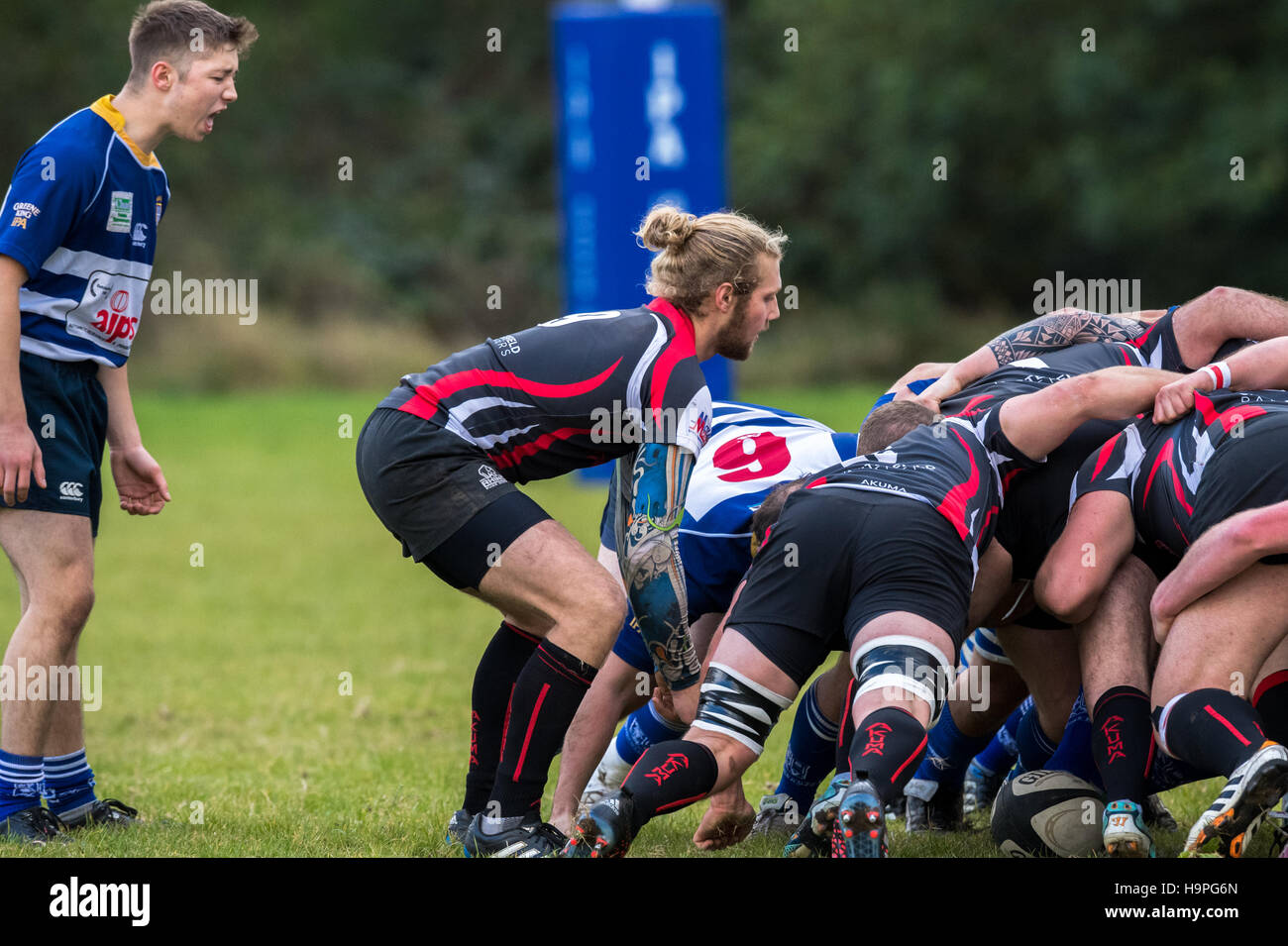 Rugby players playing rugby union Stock Photo - Alamy