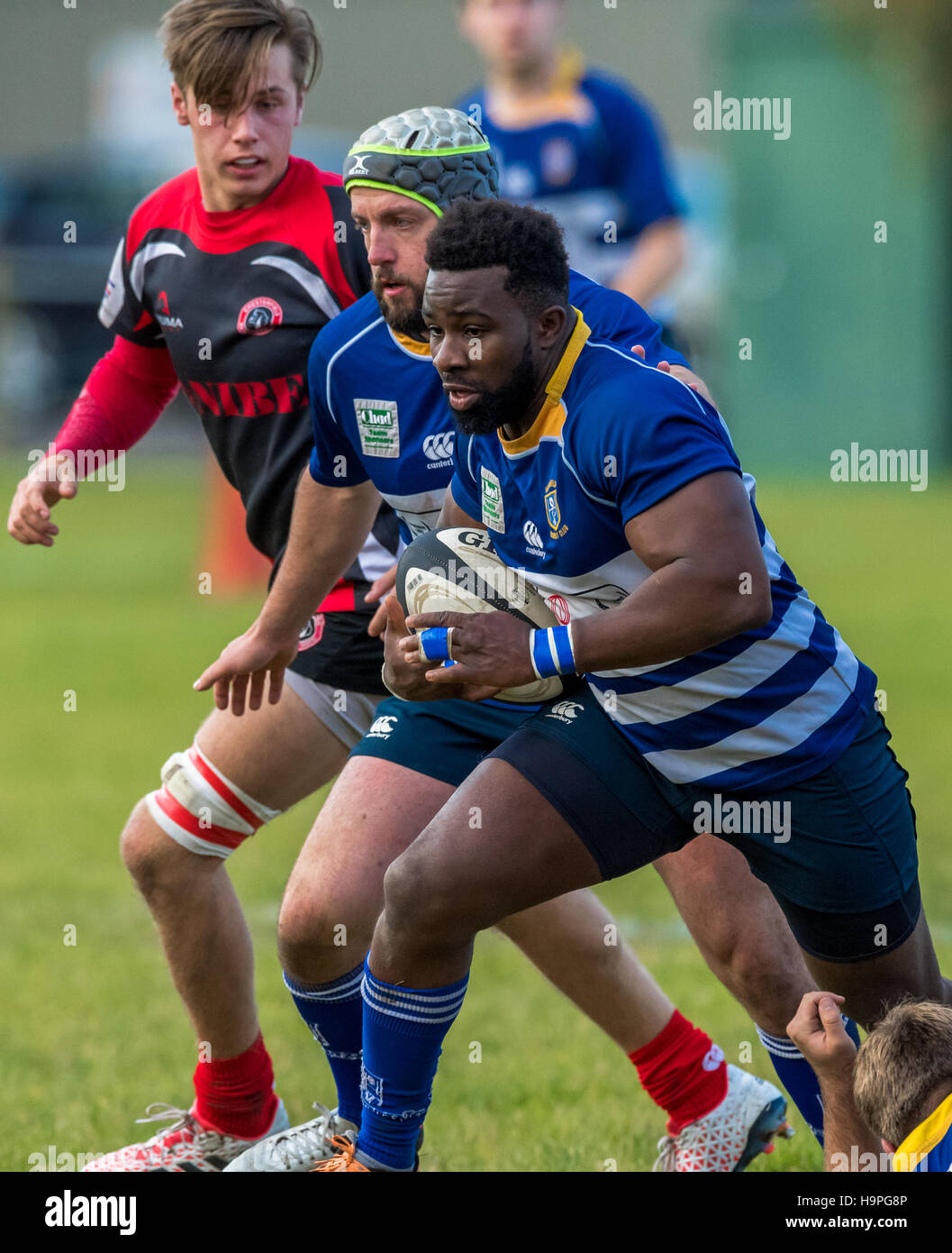 Male rugby union football player running with the ball Stock Photo - Alamy Male rugby union football player running with the ball Stock Photo - Alamy