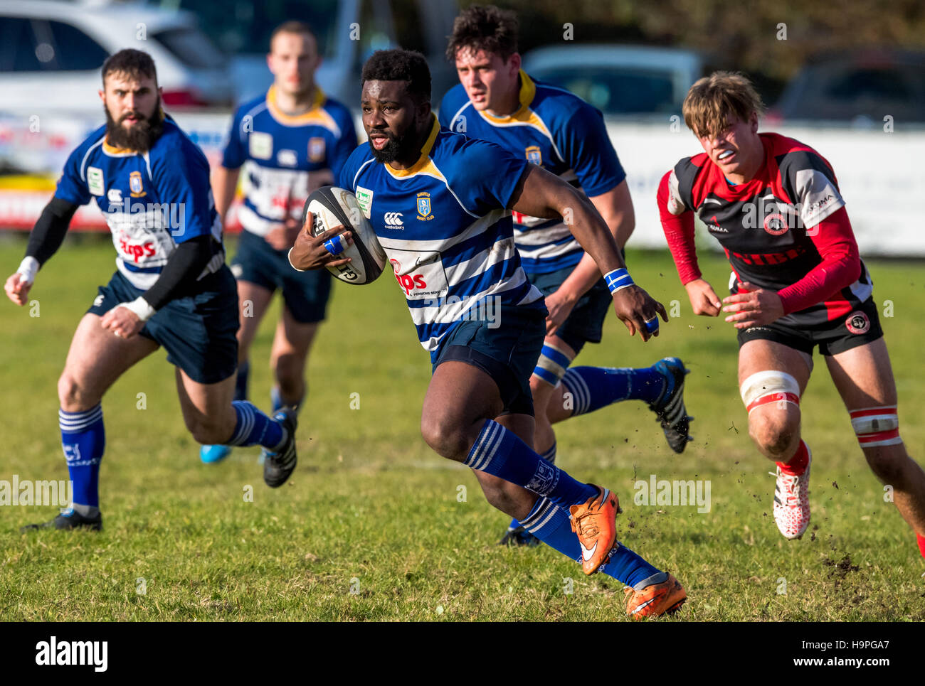Male rugby union football player running with the ball Stock Photo - Alamy