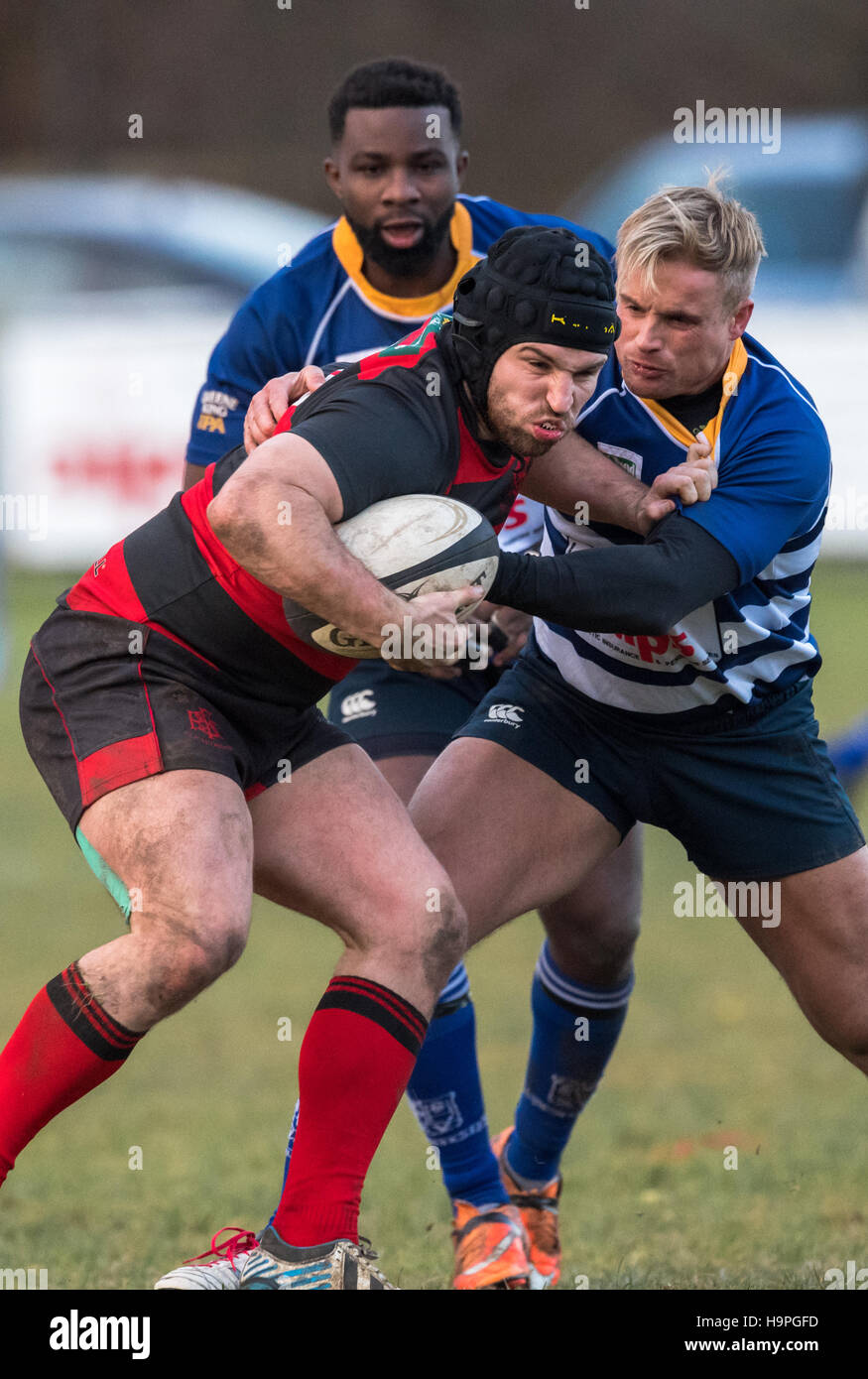 Male rugby union football player being tackled Stock Photo - Alamy Male rugby union football player being tackled Stock Photo - Alamy