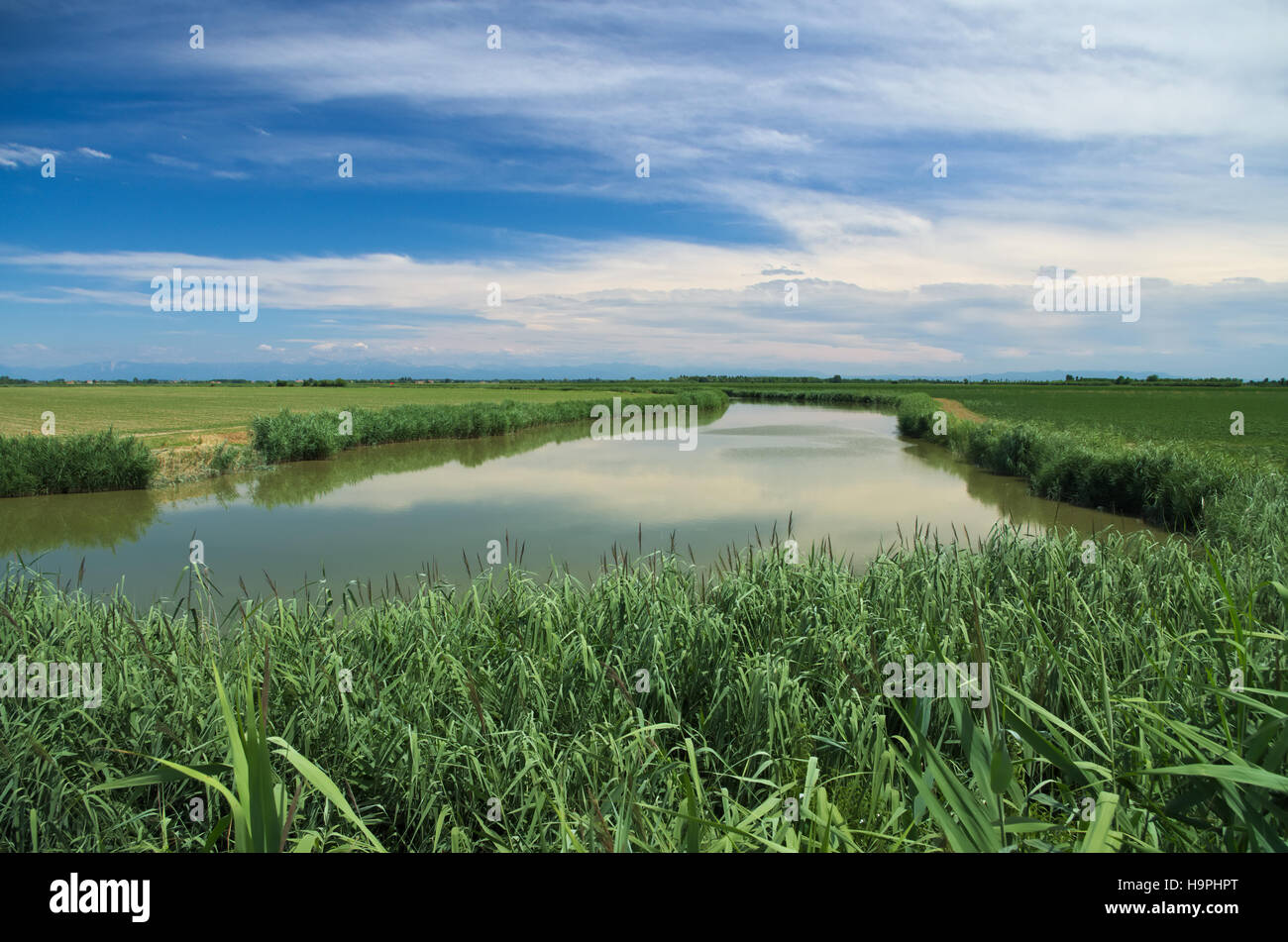 Summer view of a quiet river in the Venetian Plain with the Alps ...