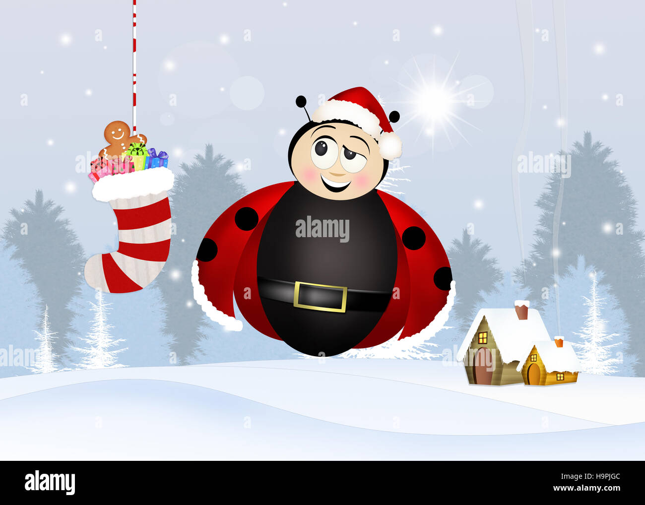 Ladybug at Christmas Stock Photo - Alamy