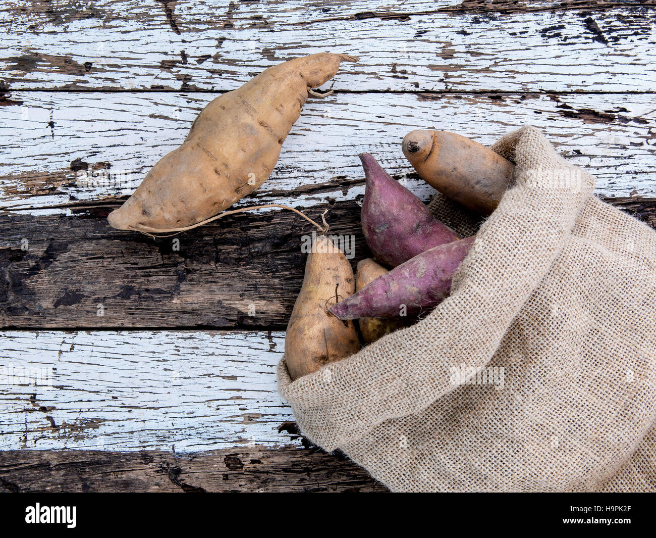 Harvested organic sweet potatoes in a hemp sack bag on rustic wo Stock ...