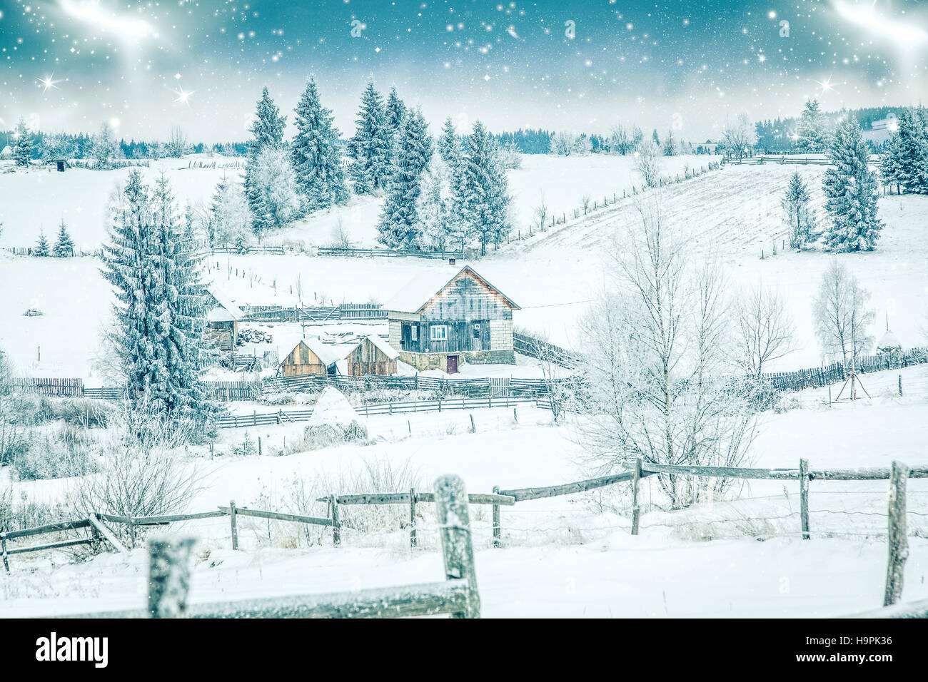 Christmas background with snowy fir trees Stock Photo - Alamy