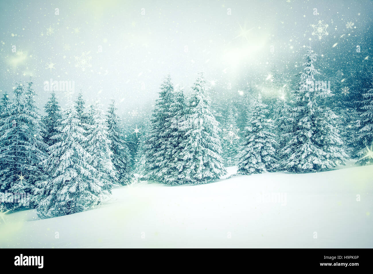 Christmas background with snowy fir trees Stock Photo - Alamy