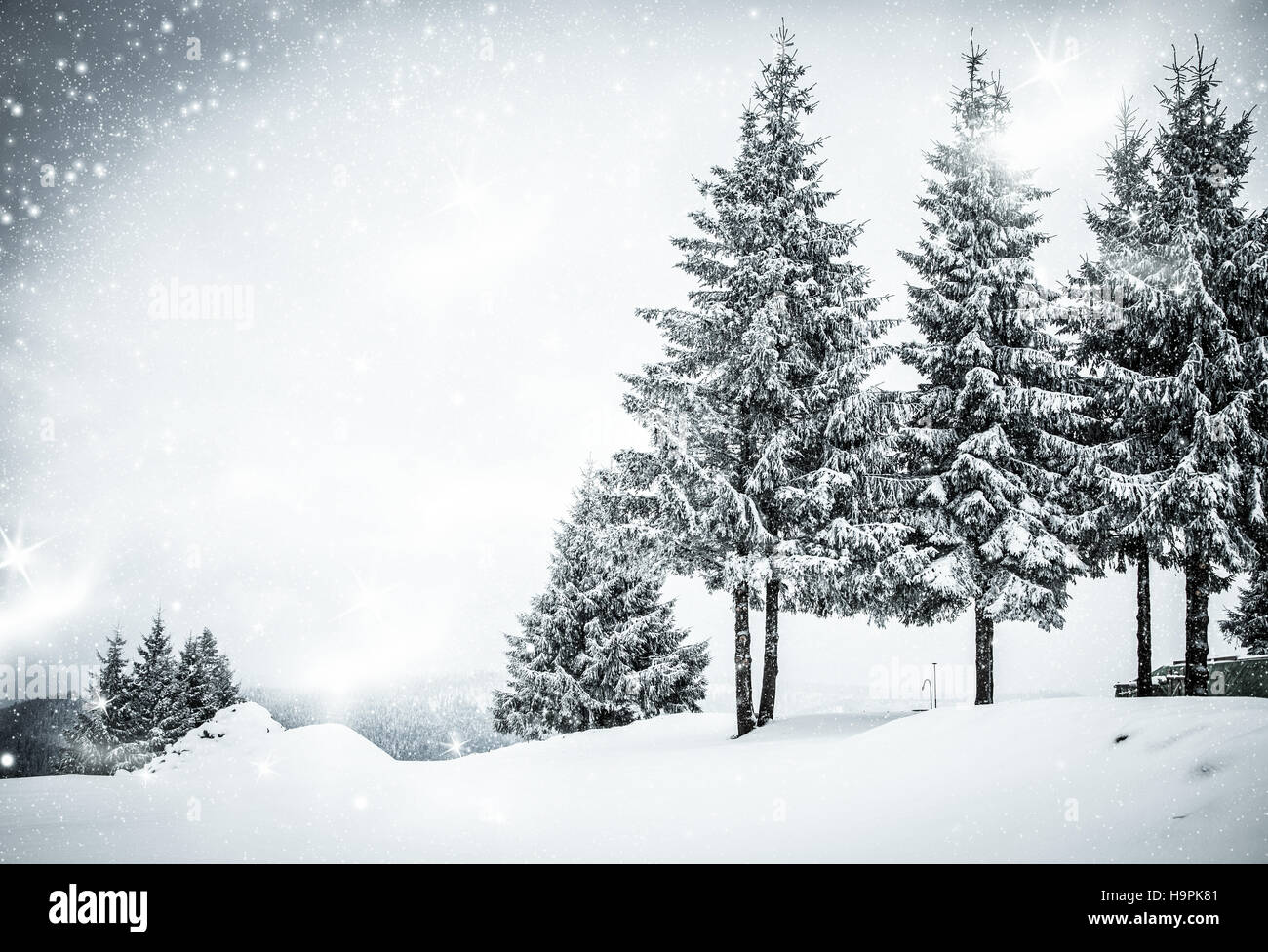 Christmas background with snowy fir trees Stock Photo - Alamy