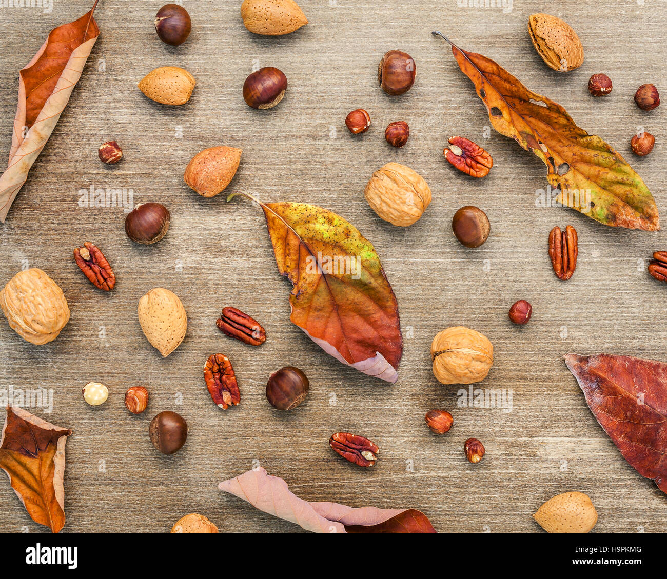 Different kinds of nuts walnuts kernels ,hazelnuts, almond kerne Stock ...