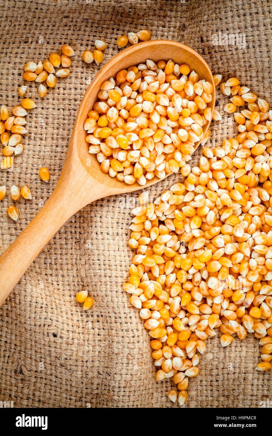 Grains of ripe corn in the wooden spoon with dried sweet corn on Stock ...