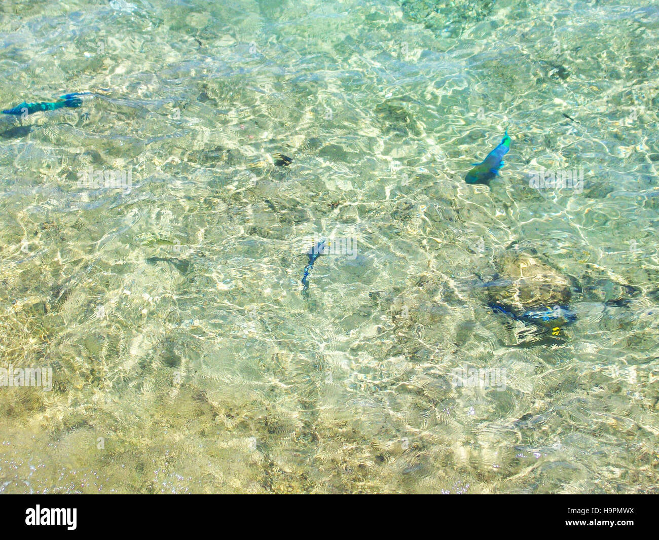 Clear transparent water of the coastal beach Stock Photo - Alamy