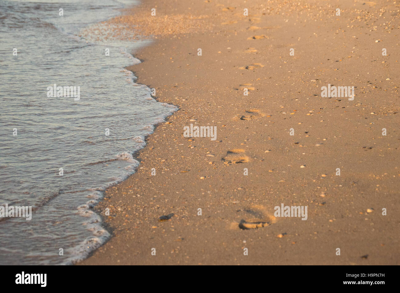 Wave And Footsteps High Resolution Stock Photography and Images - Alamy