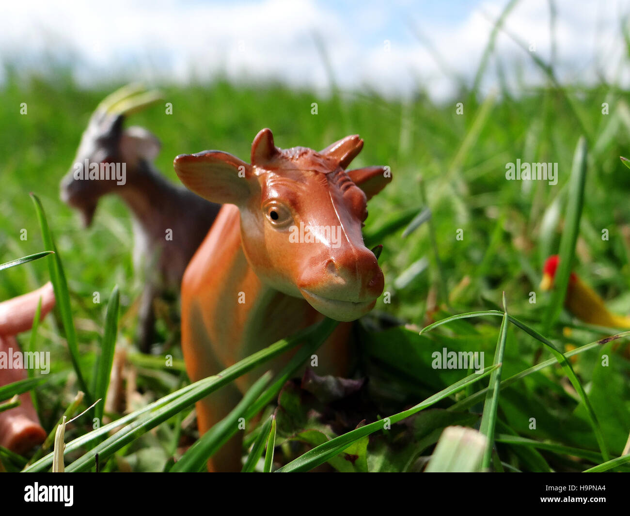 Toy farm animals grass hi-res stock photography and images - Alamy