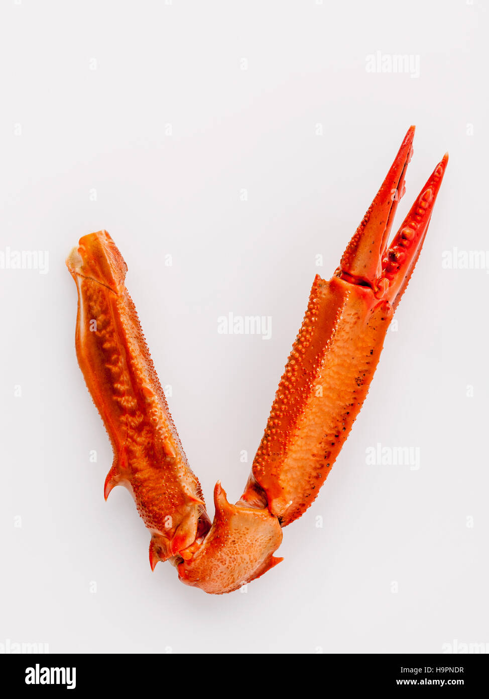 Boiled crab claws isolated on white background for crabs and sea Stock Photo - Alamy