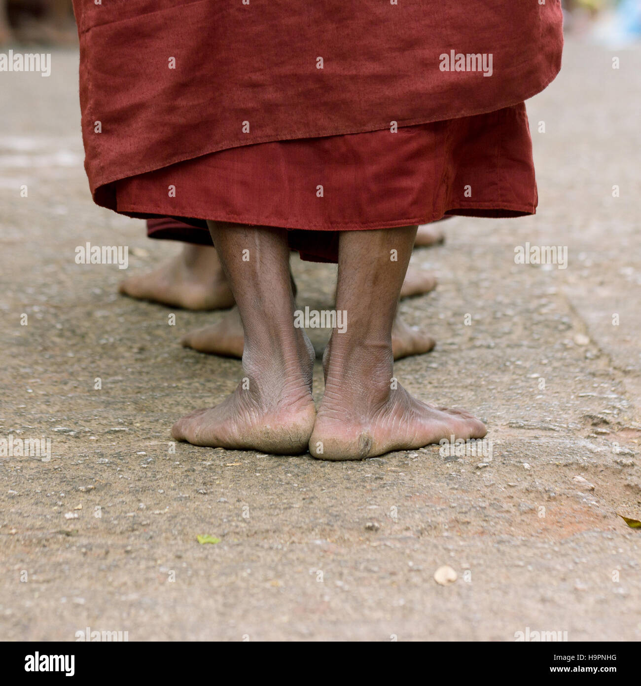 Old buddhist monk meditating hi-res stock photography and images - Alamy