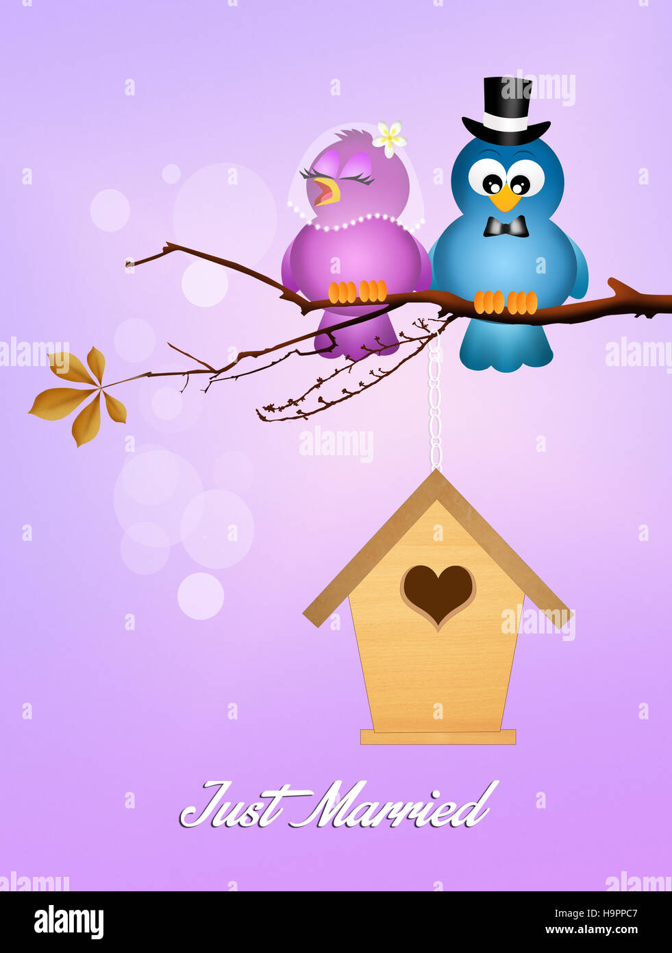 Sparrows bird love hi-res stock photography and images - Alamy