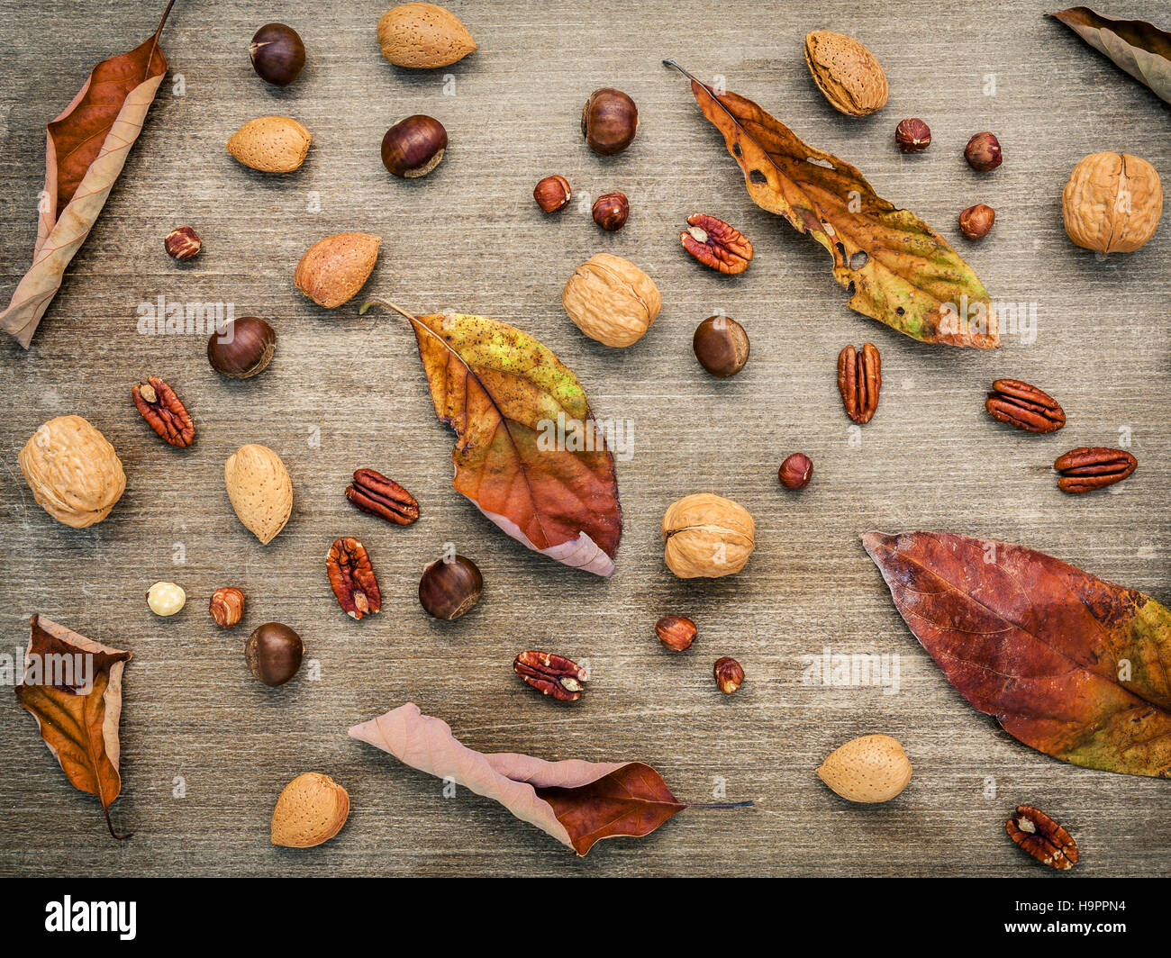 Different kinds of nuts walnuts kernels ,hazelnuts, almond kerne Stock ...