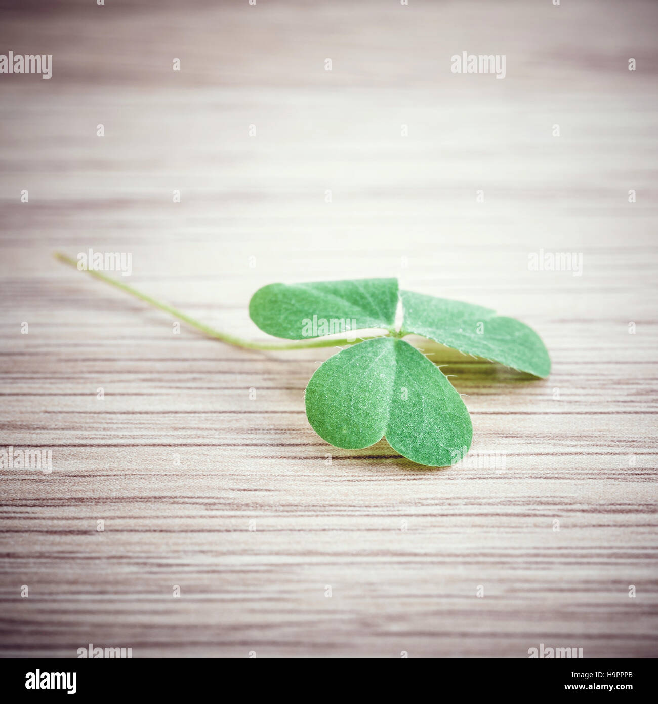 Clover leaf shape hi-res stock photography and images - Alamy