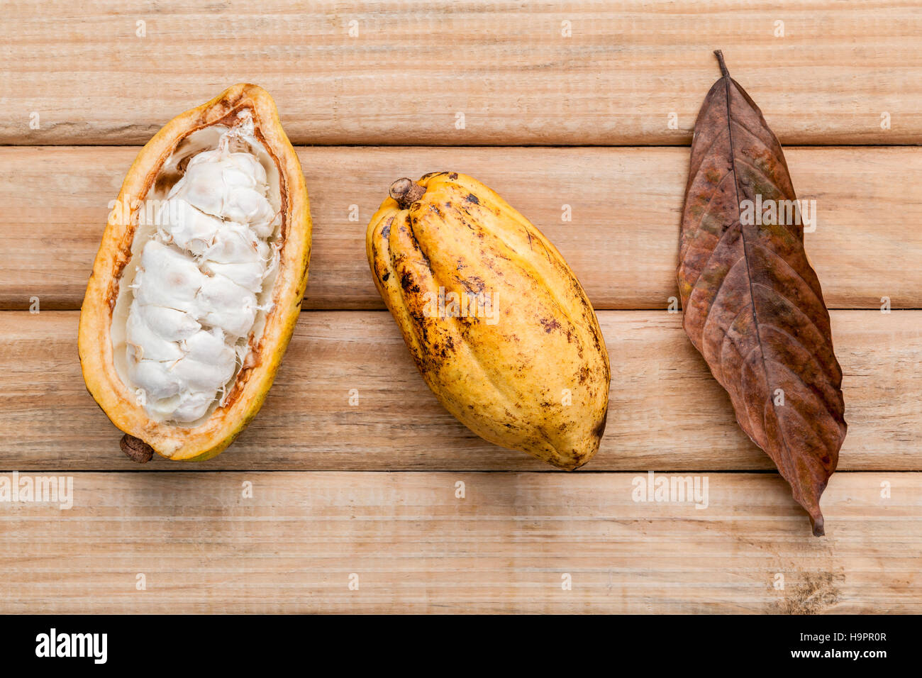Ripe Indonesia's cocoa setup on rustic wooden background Stock Photo ...