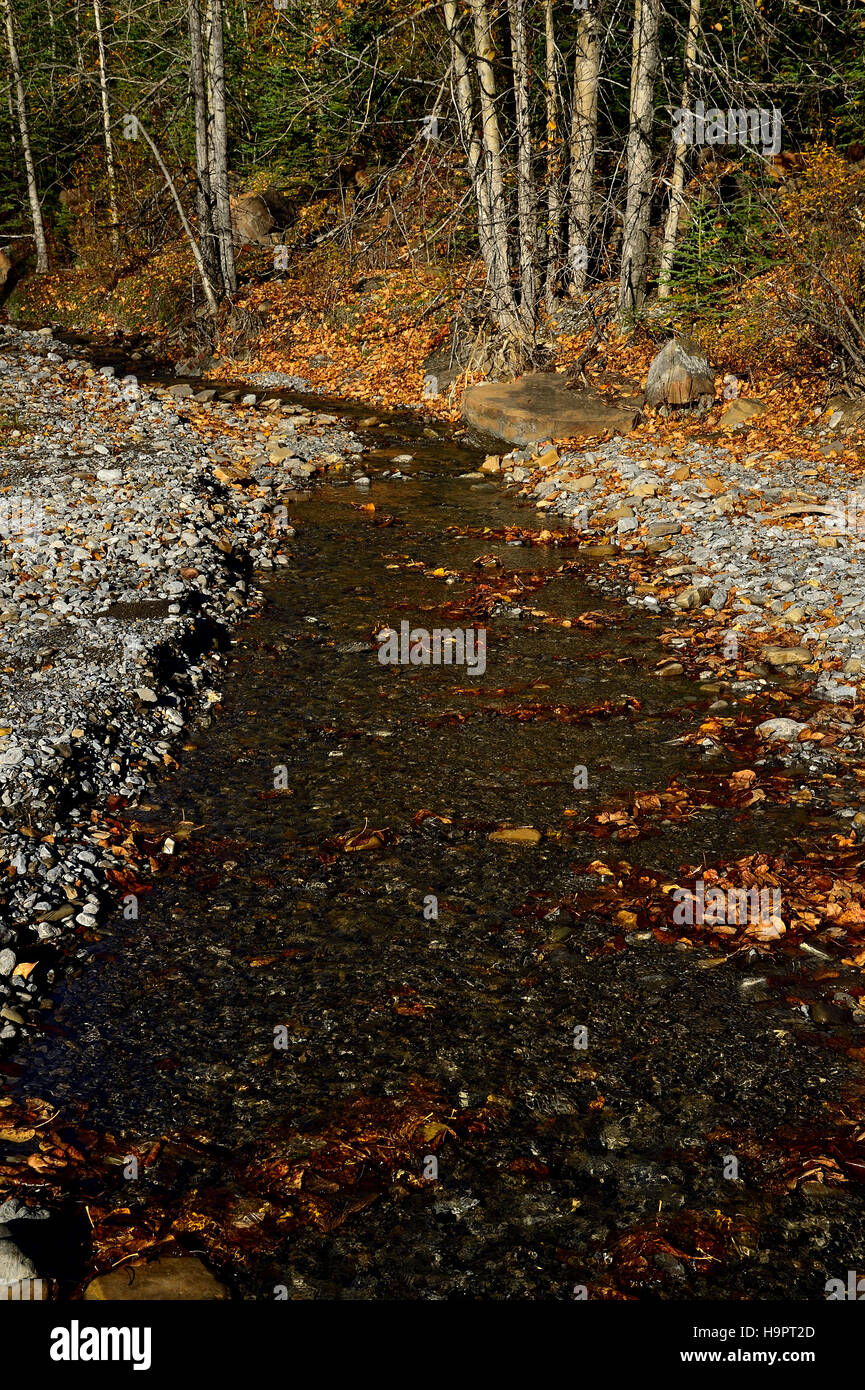 Robert brook hi-res stock photography and images - Alamy