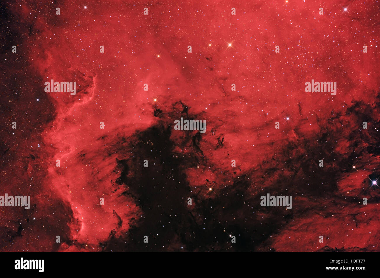 The North America Nebula (NGC 7000) in Cygnus constellation Stock Photo - Alamy