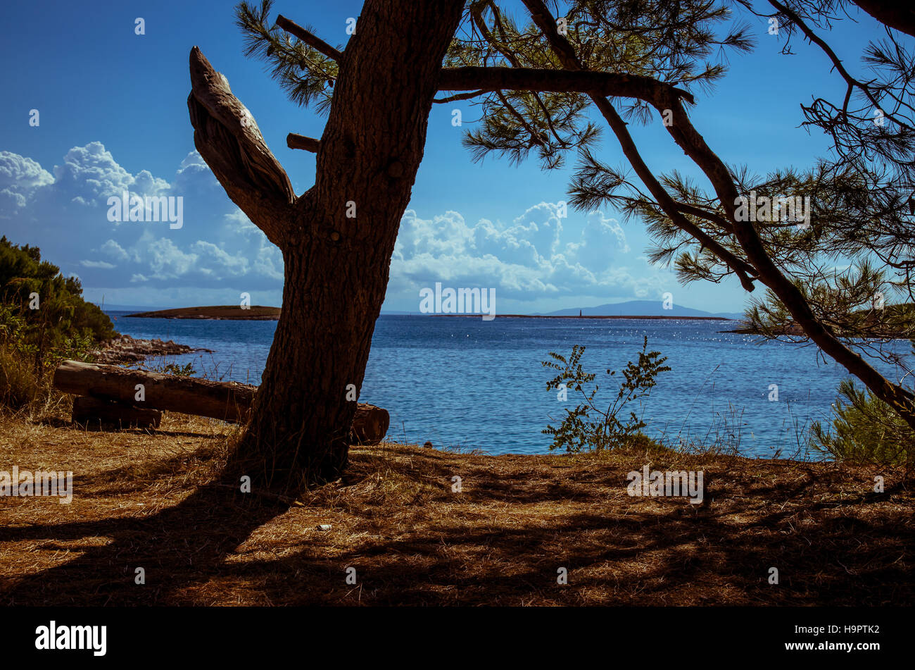 Croatian coast scenery with blue sea, bench and tree Stock Photo - Alamy