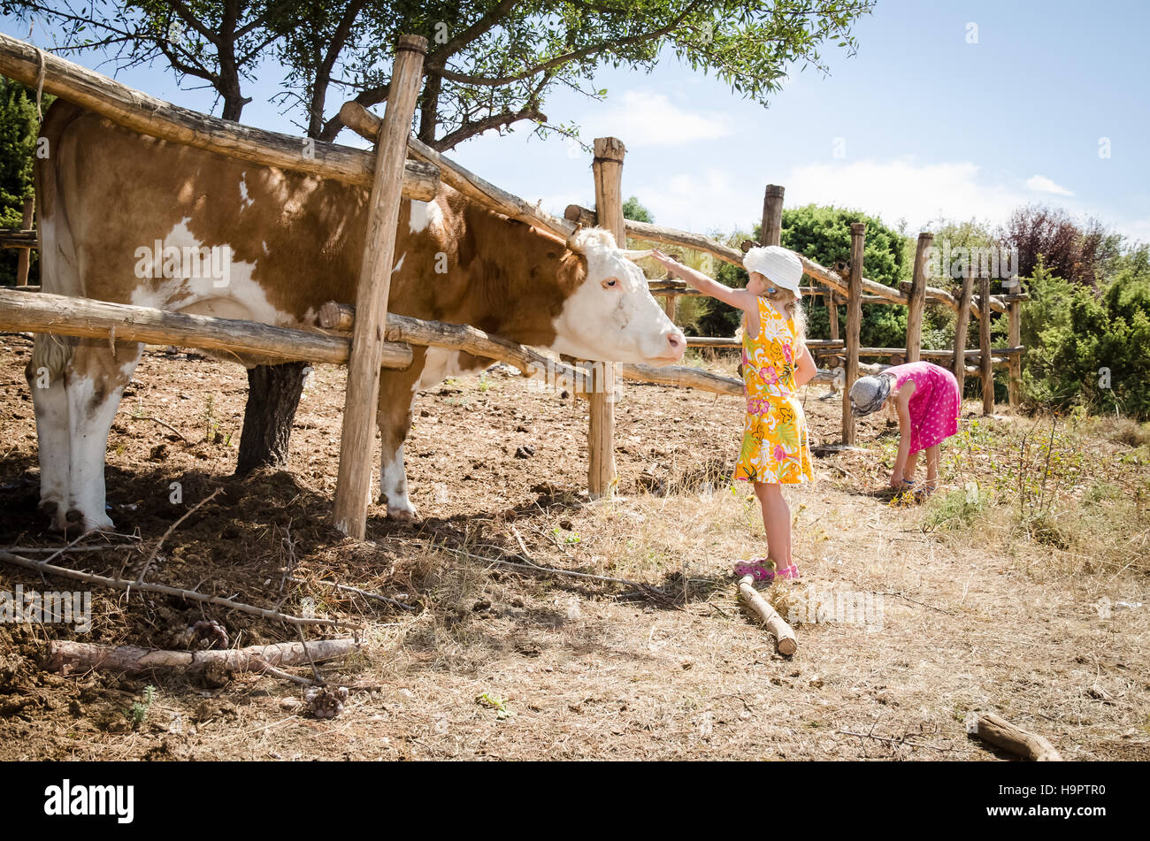 little kids feeding cow in the farm Stock Photo - Alamy
