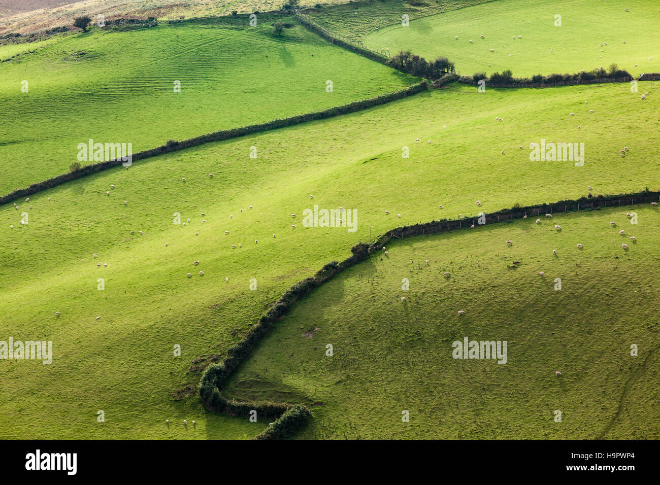 Patchwork fields of rural Exmoor National Park on the Somerset and East ...