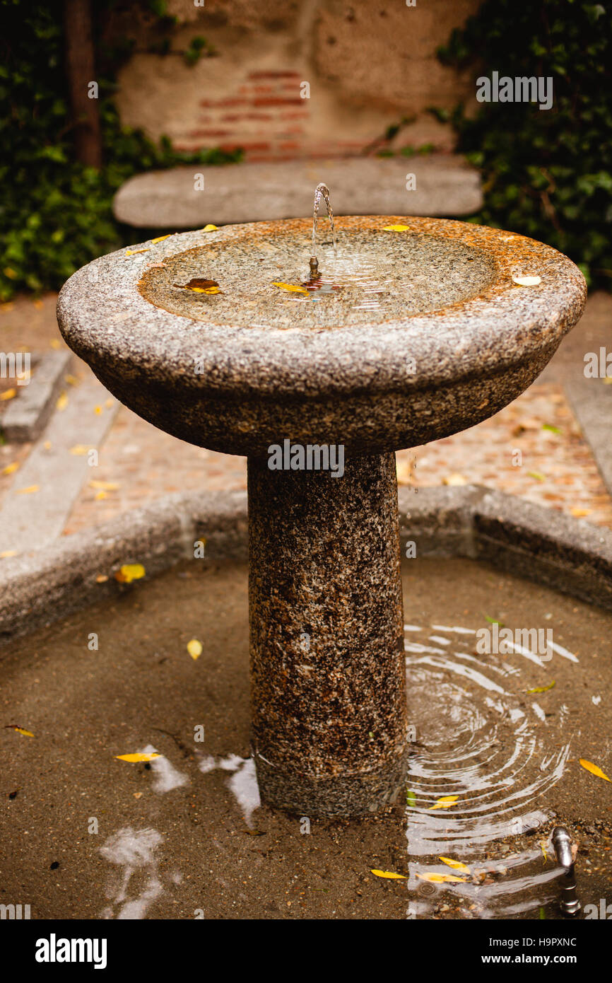 Small stone fountain with golden leaves on the water Stock Photo - Alamy