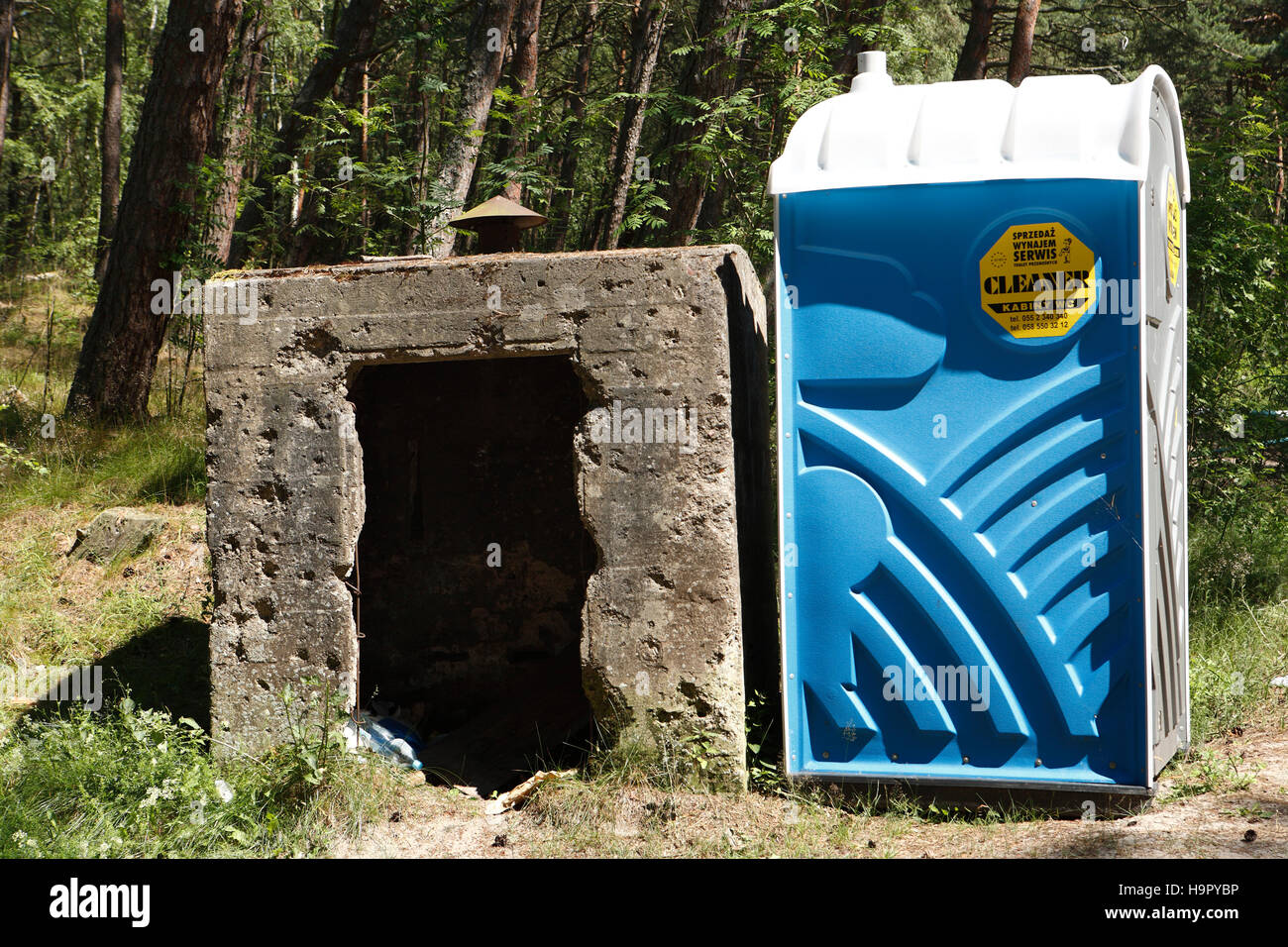 dugout form world war II and chemical toilet in pine wood nearby small ...
