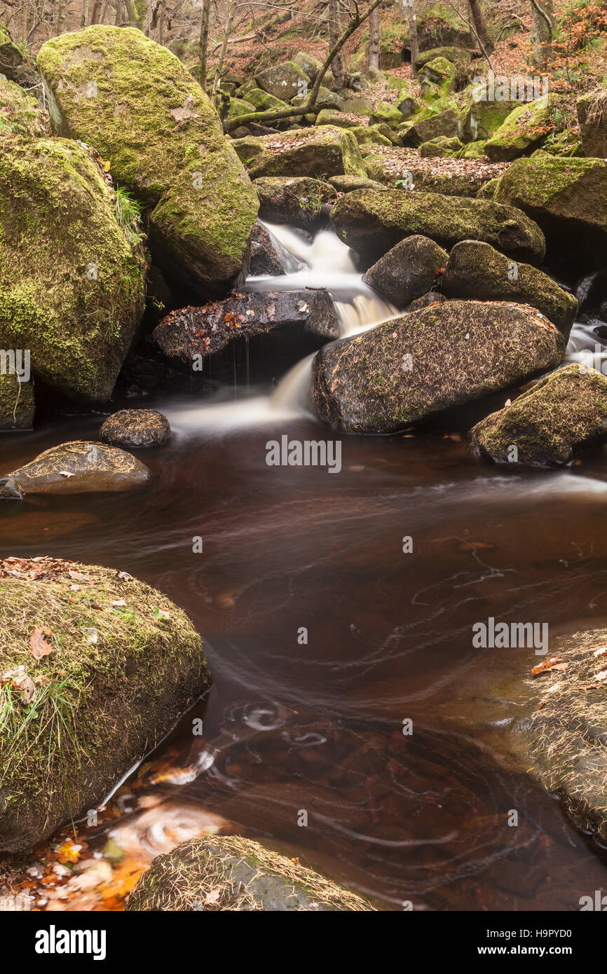 Padley Gorge in the Peak District Stock Photo - Alamy