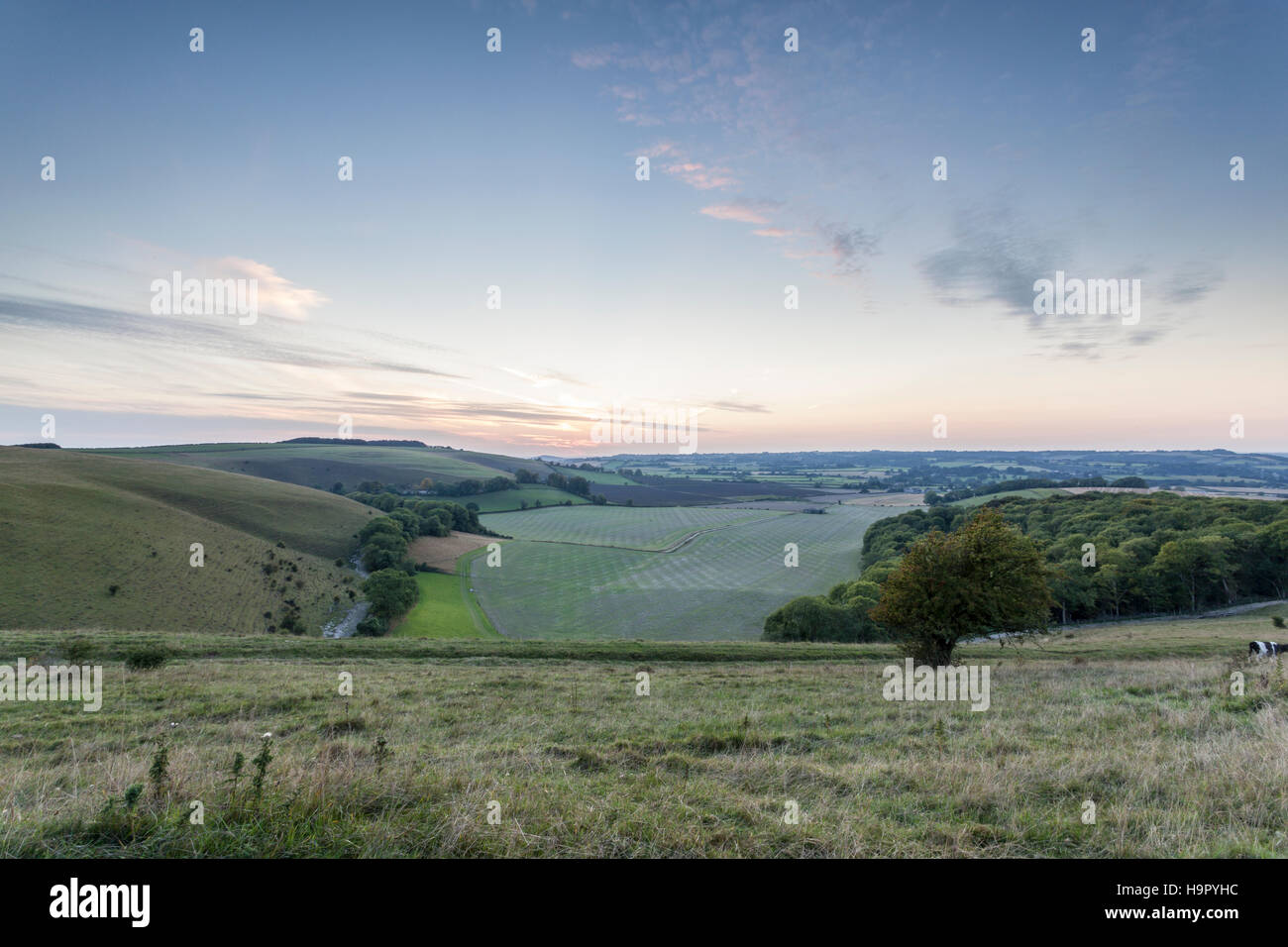 Charlton down hi-res stock photography and images - Alamy