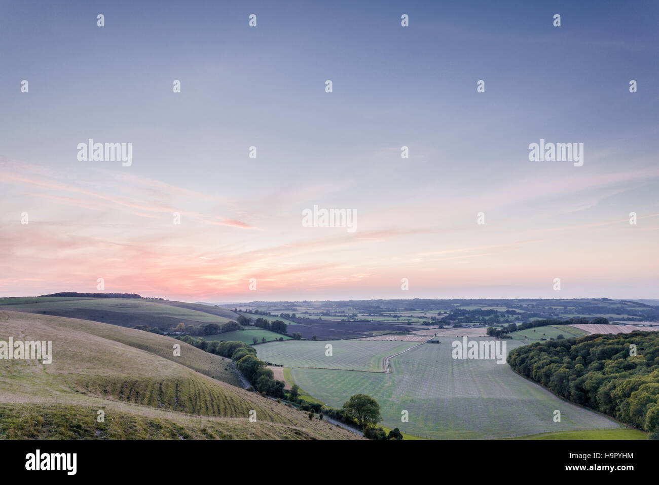 Dorset border hi-res stock photography and images - Alamy