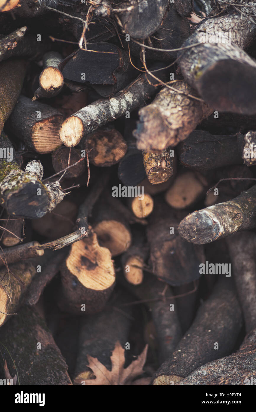 Dried trunks hi-res stock photography and images - Alamy