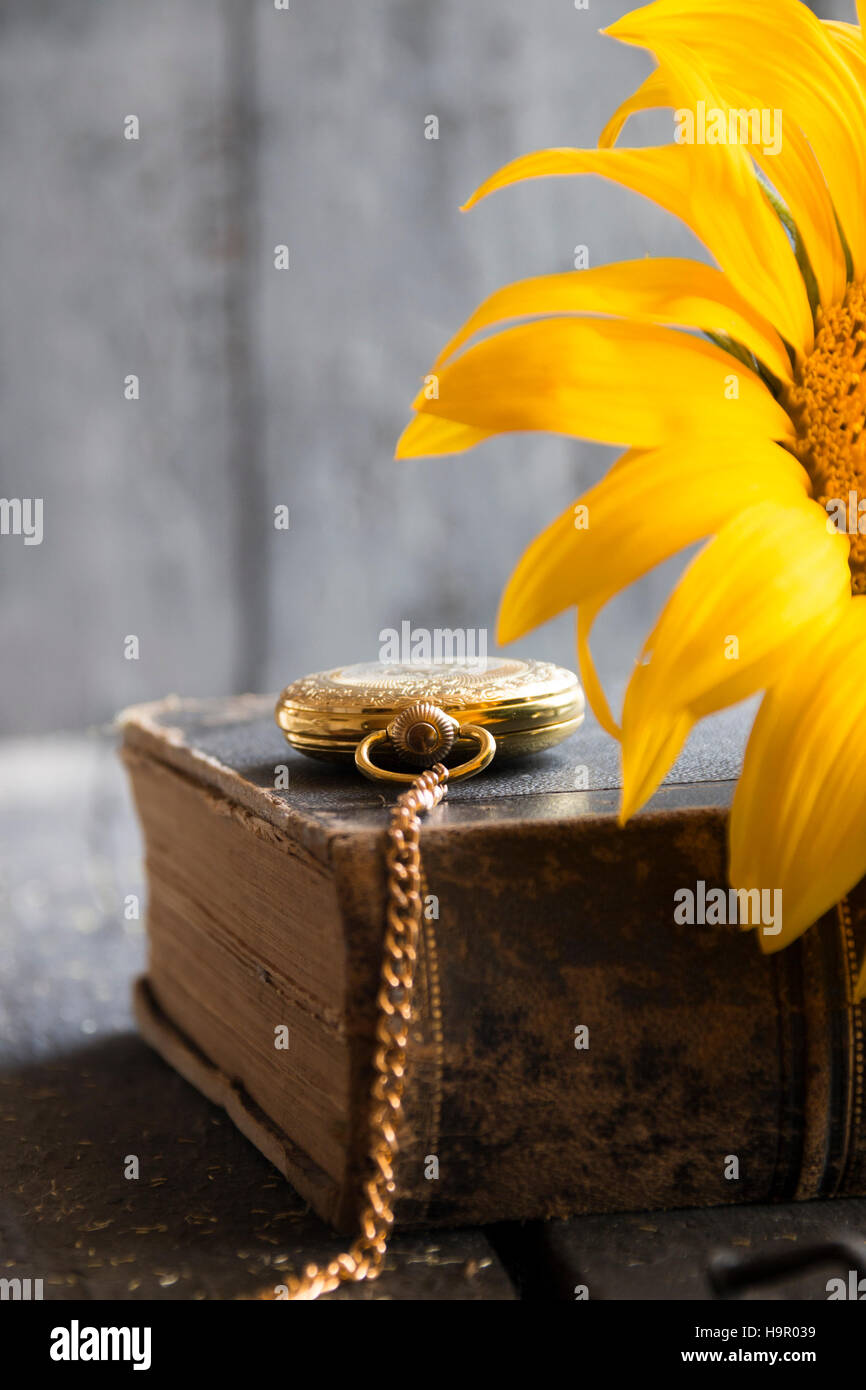 sunflower - flower background, gold pocket watch and book Stock Photo ...