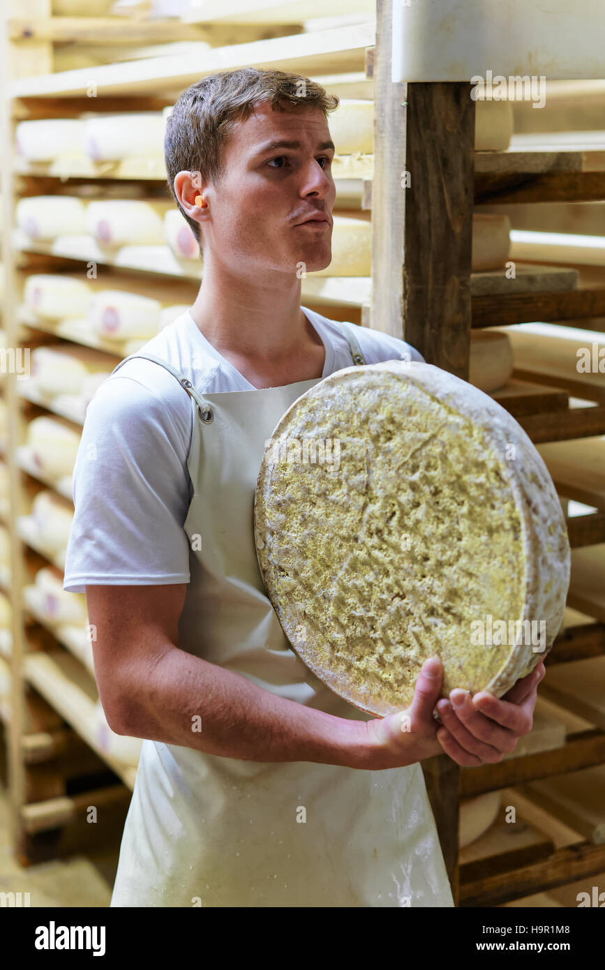 Evillers, France - August 31, 2016: Worker holds a wheel of Comte ...
