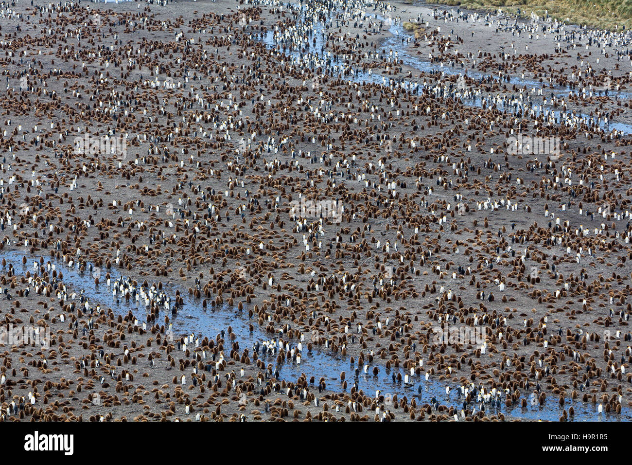 Salisbury plain river hi-res stock photography and images - Alamy
