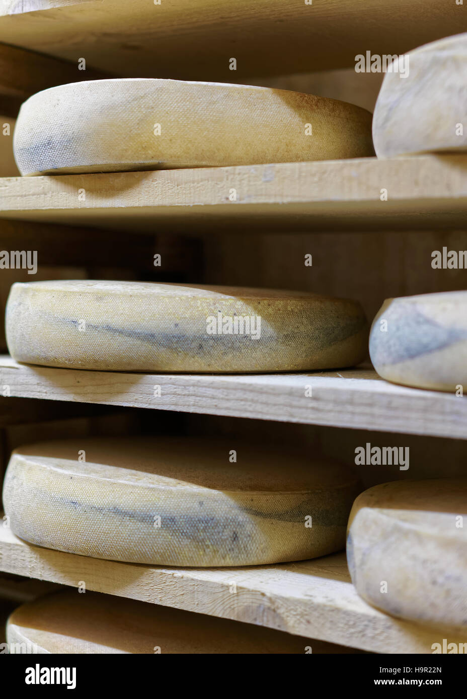 Comte cheese wheel hi-res stock photography and images - Alamy