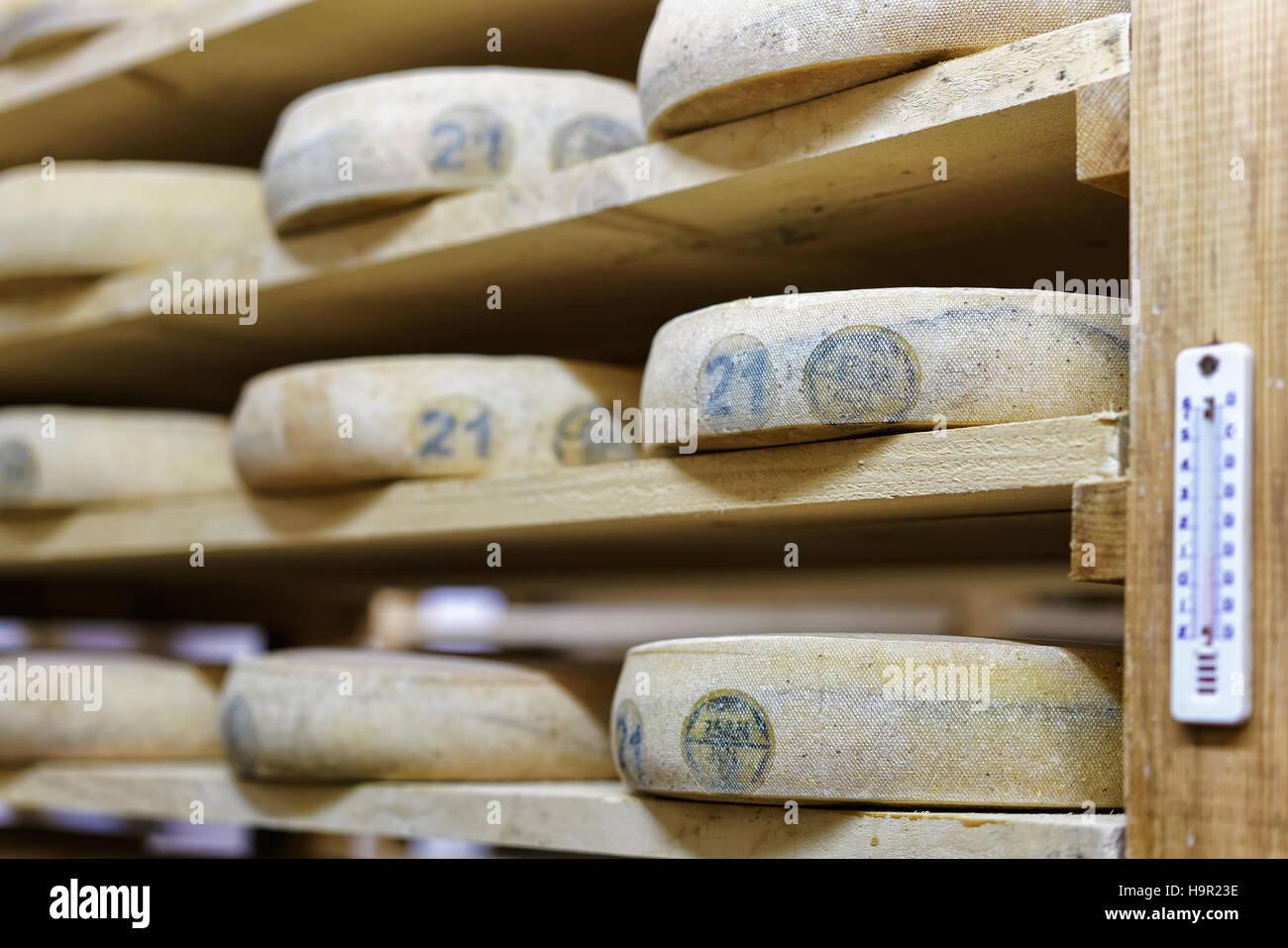 Comte cheese wheel hi-res stock photography and images - Alamy