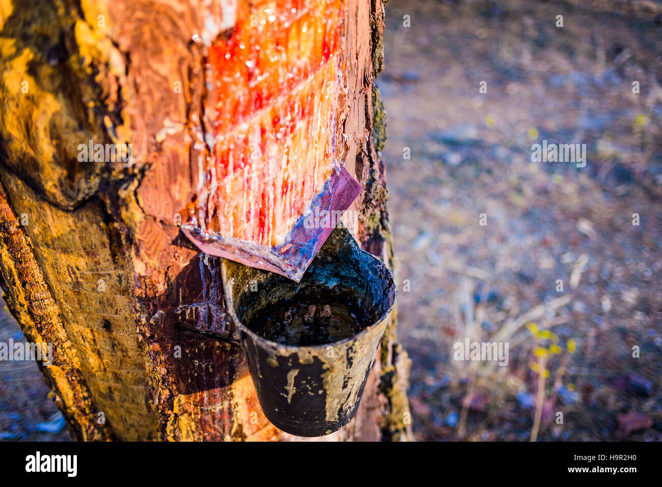 Extraction of organic compounds hi-res stock photography and images - Alamy