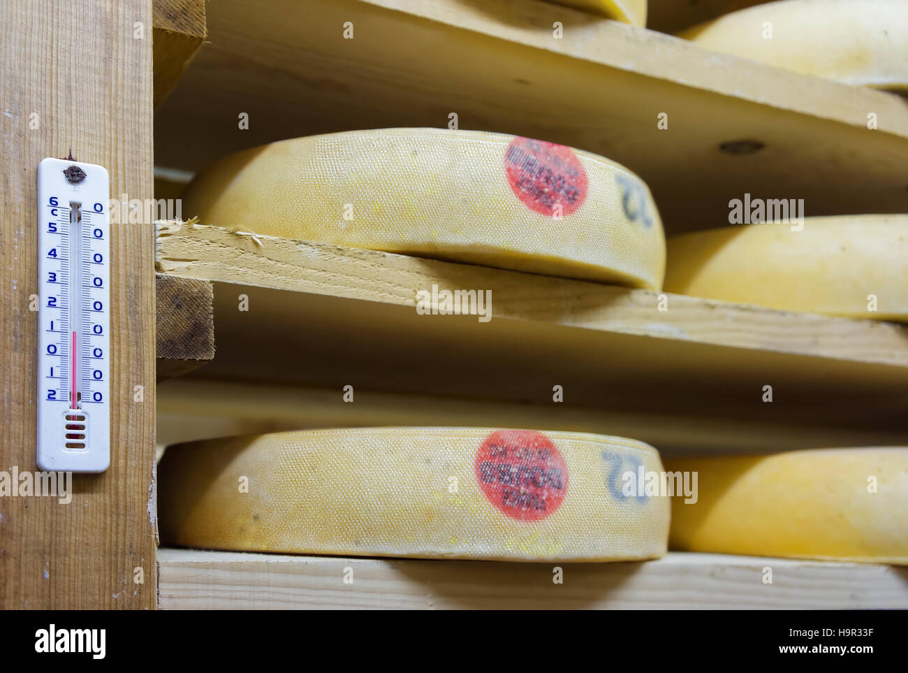 Dairy shelf hi-res stock photography and images - Alamy